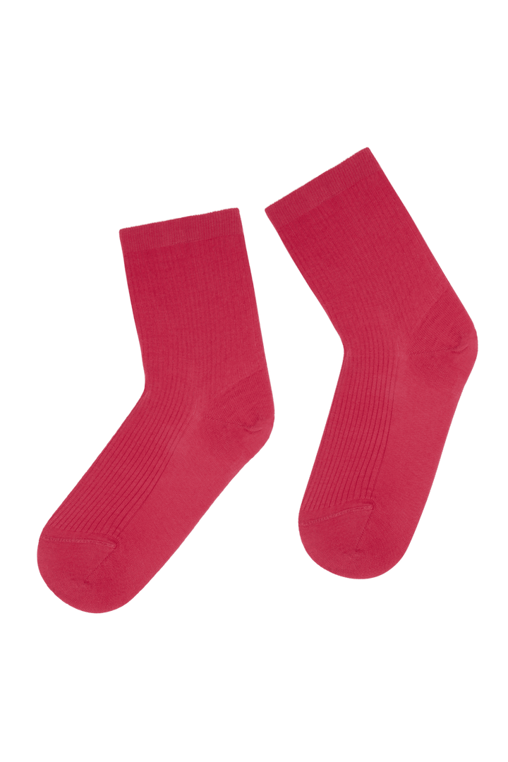 Socquettes Femme Confort & Style | Chaussettes Basses Tendances – Le ...